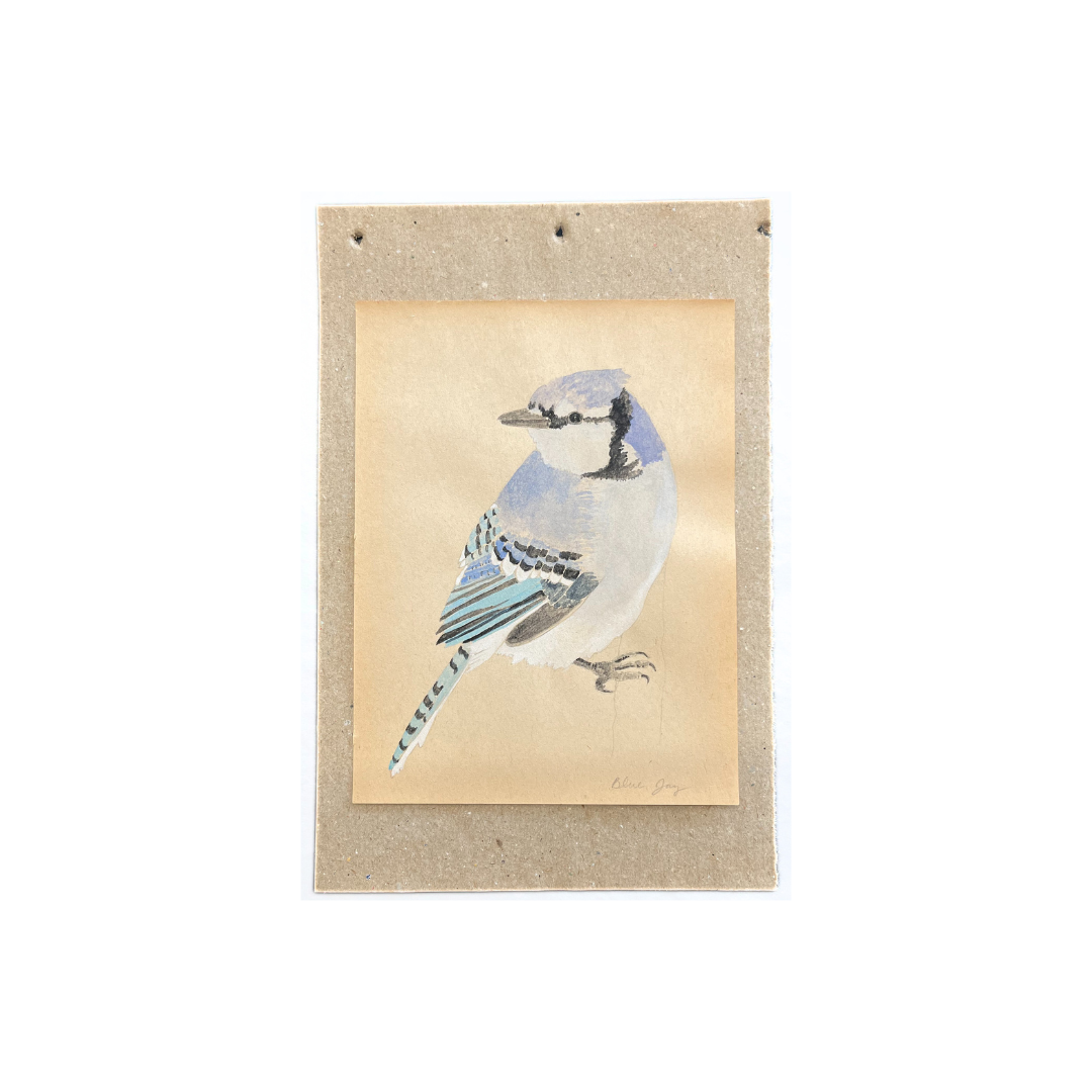 Blue Jay by The Ditty Bops – Shop At Gibson