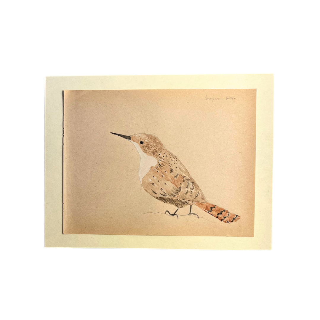 Canyon Wren by The Ditty Bops – Shop At Gibson