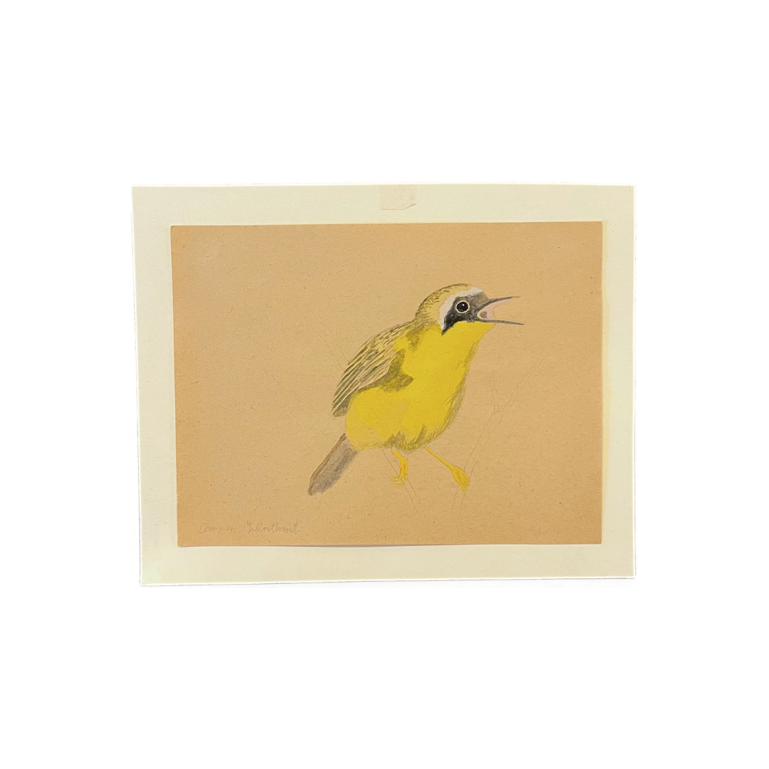 Common Yellowthroat by The Ditty Bops – Shop At Gibson