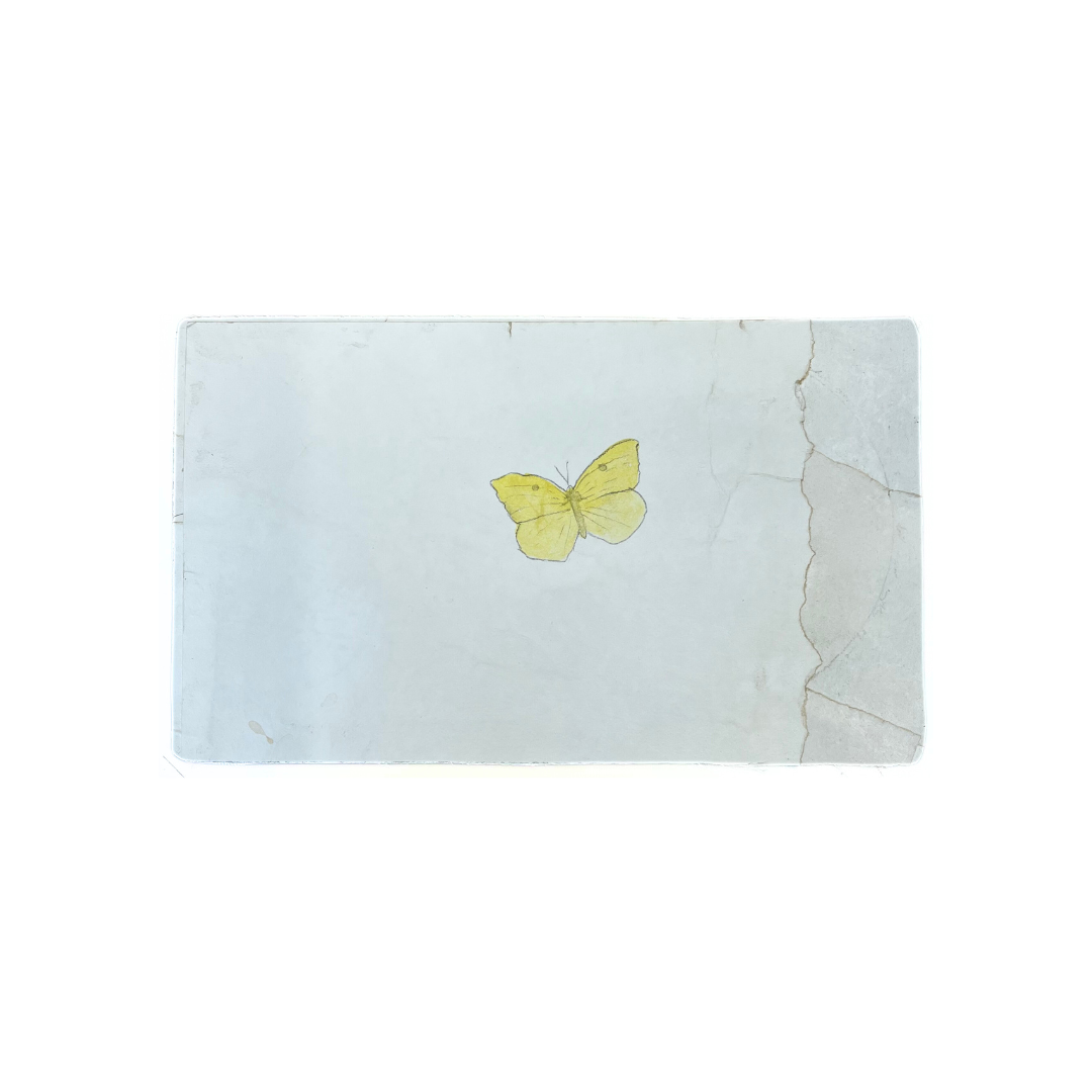 DOG FACE BUTTERFLY ON TEA PAPER BY THE DITTY BOPS – Shop At Gibson