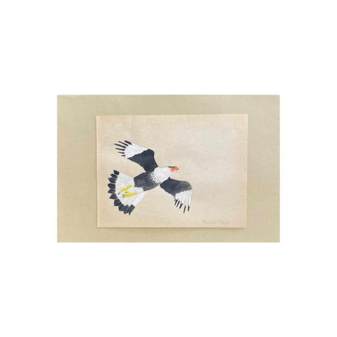 Mexican Eagle by The Ditty Bops – Shop At Gibson