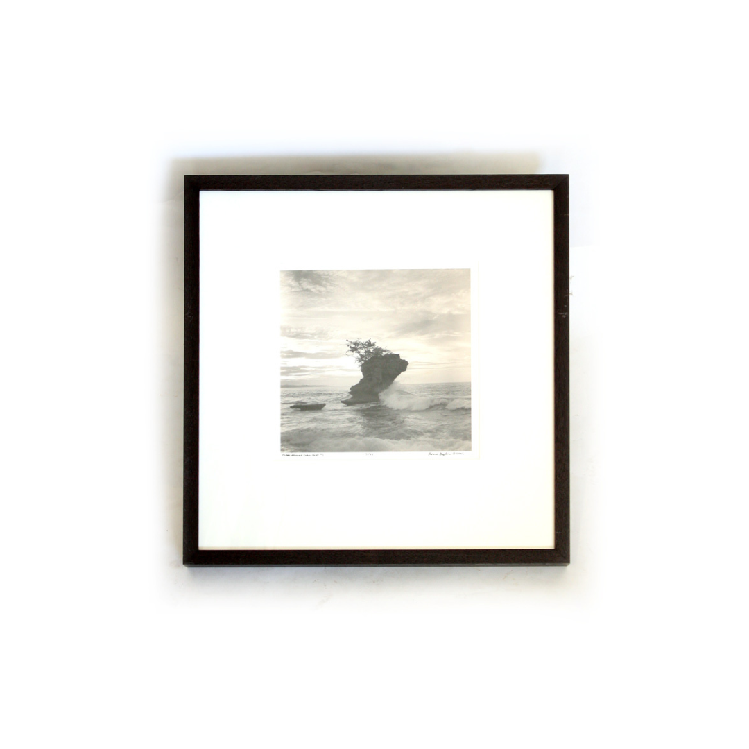 OCEAN AROUND CORRAL POINT BY THOMAS GUGLER – Shop At Gibson