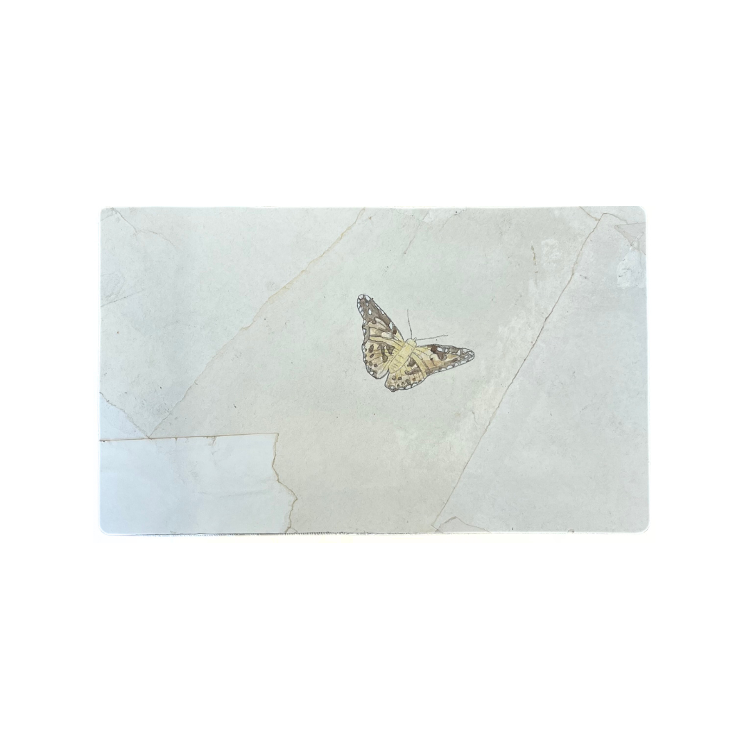 PAINTED LADY BUTTERFLY ON TEA PAPER BY THE DITTY BOPS – Shop At Gibson