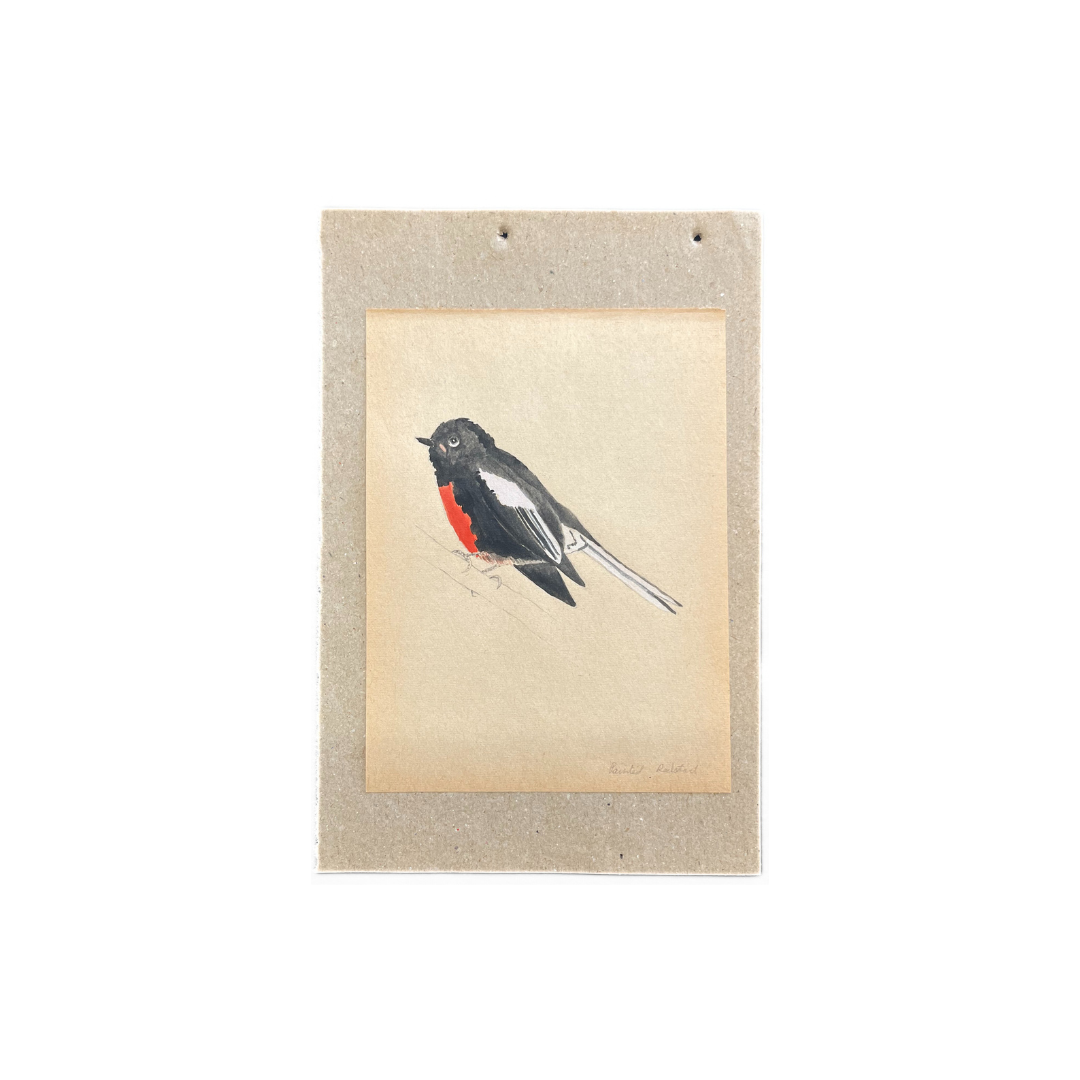 Painted Red Start by The Ditty Bops – Shop At Gibson