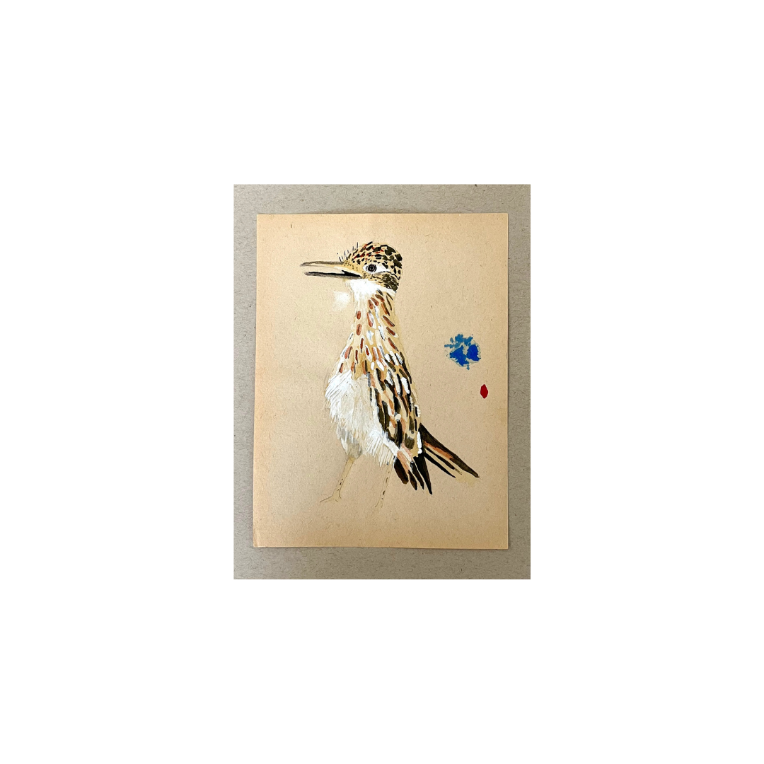 Road Runner by The Ditty Bops – Shop At Gibson