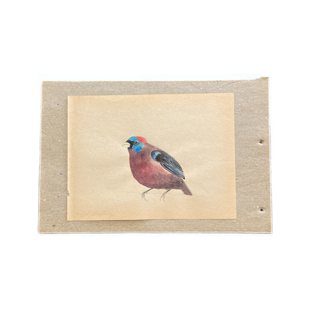 Varied Bunting by The Ditty Bops – Shop At Gibson
